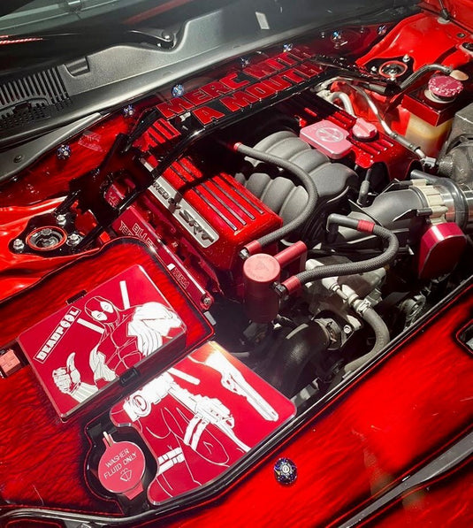 Patino Kustom Designs (PKD) Bash Bars – FSPE