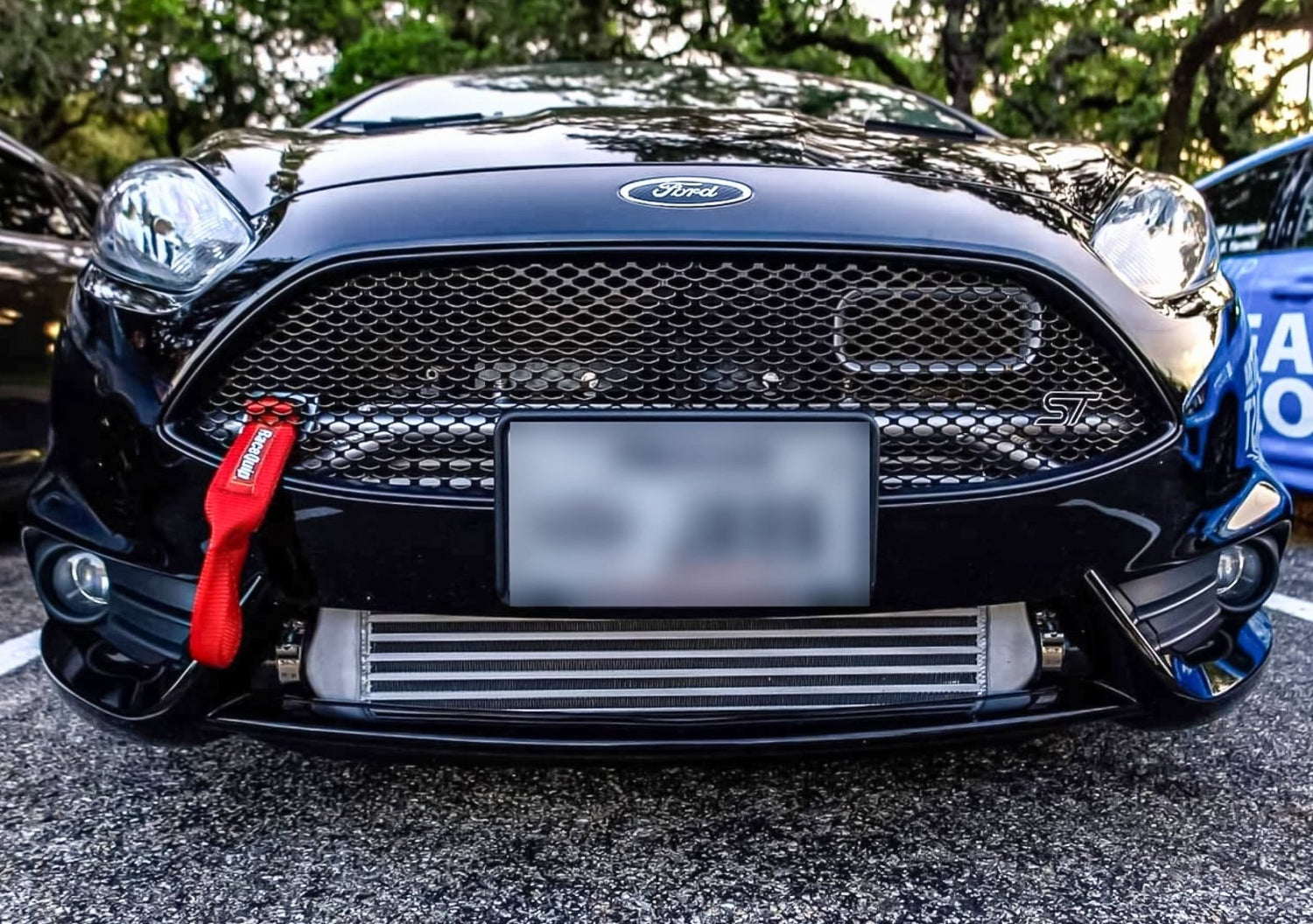 Ford Fiesta ST (2014-2019) Mesh Grille Set – FSPE