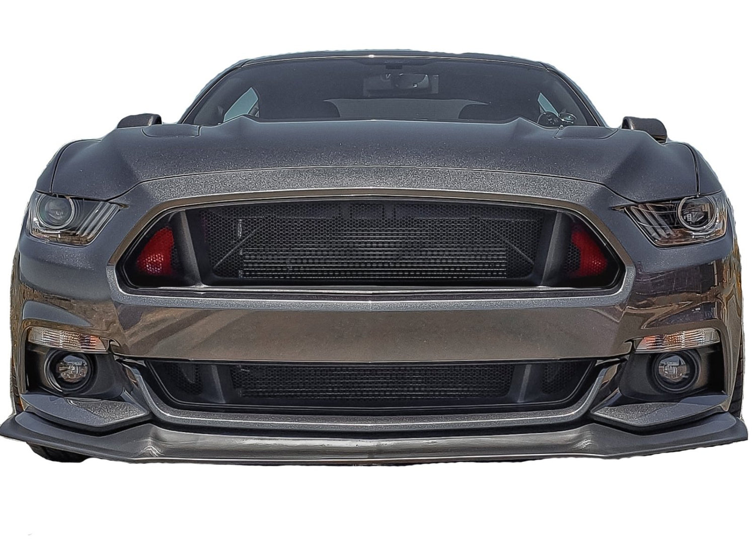 Ford Mustang GT (2015-2017) Honeycomb Grille Mesh Set – FSPE