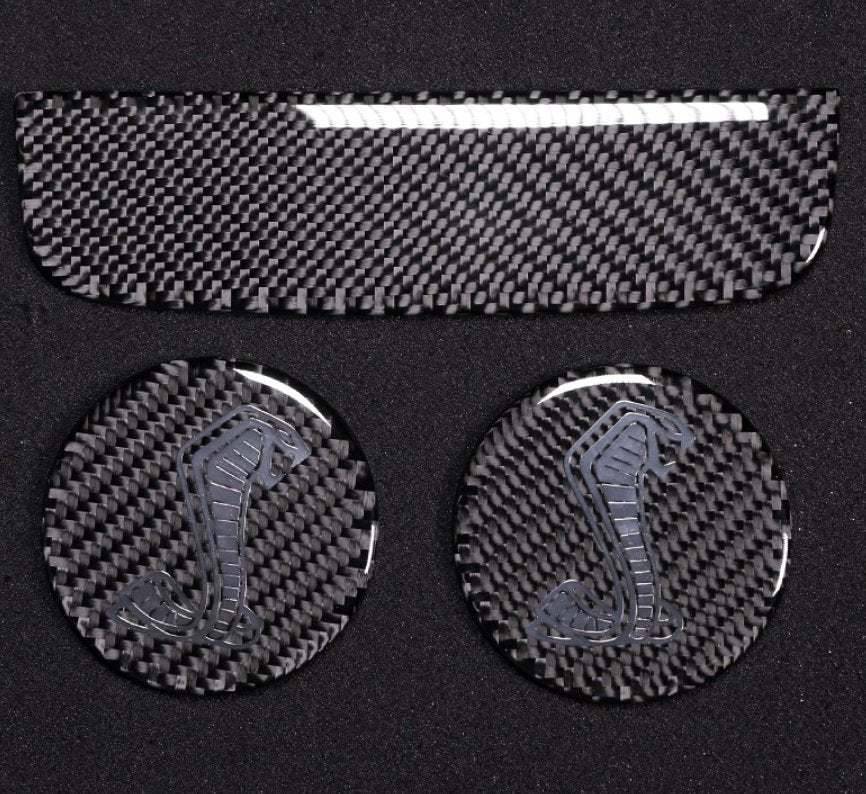 Ford Mustang (2015-2023) Carbon Fiber Anti-Slip Coaster Overlays – FSPE