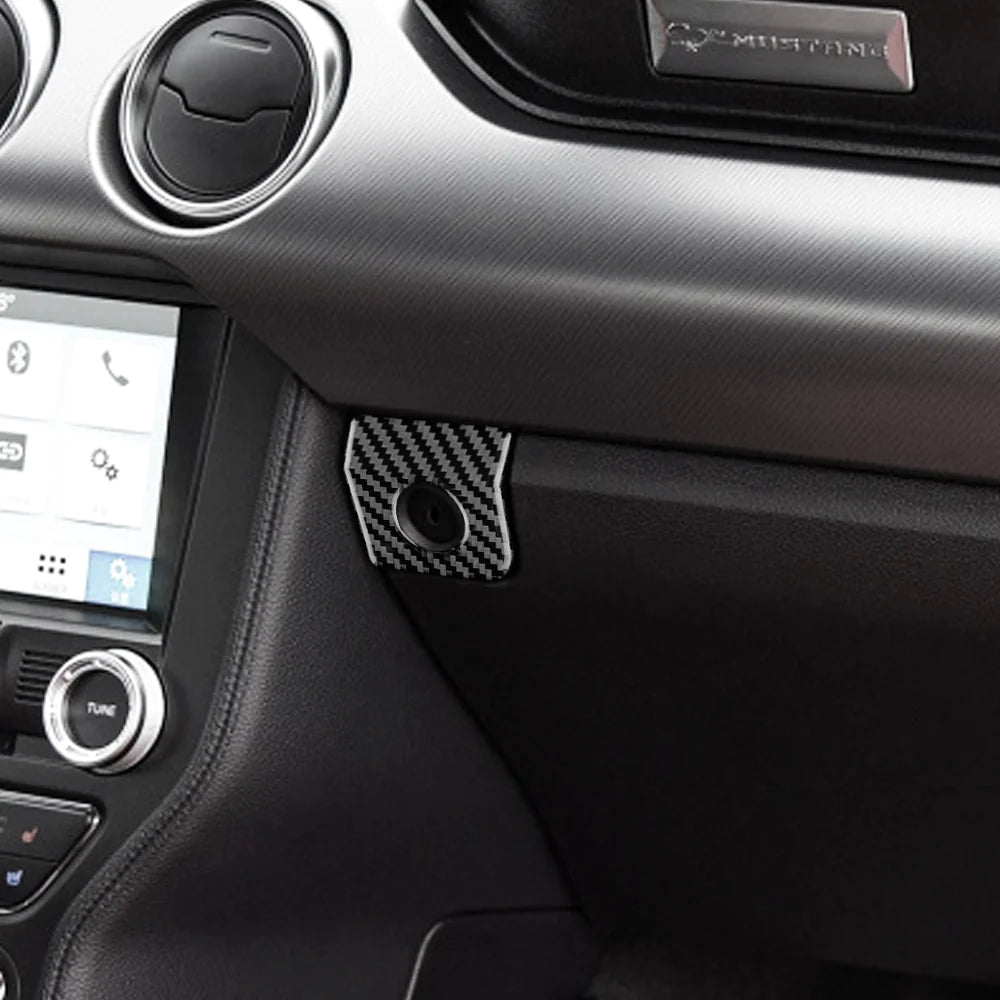 Ford Mustang (2015-2023) Carbon Fiber Storage Box Kit Trim – FSPE
